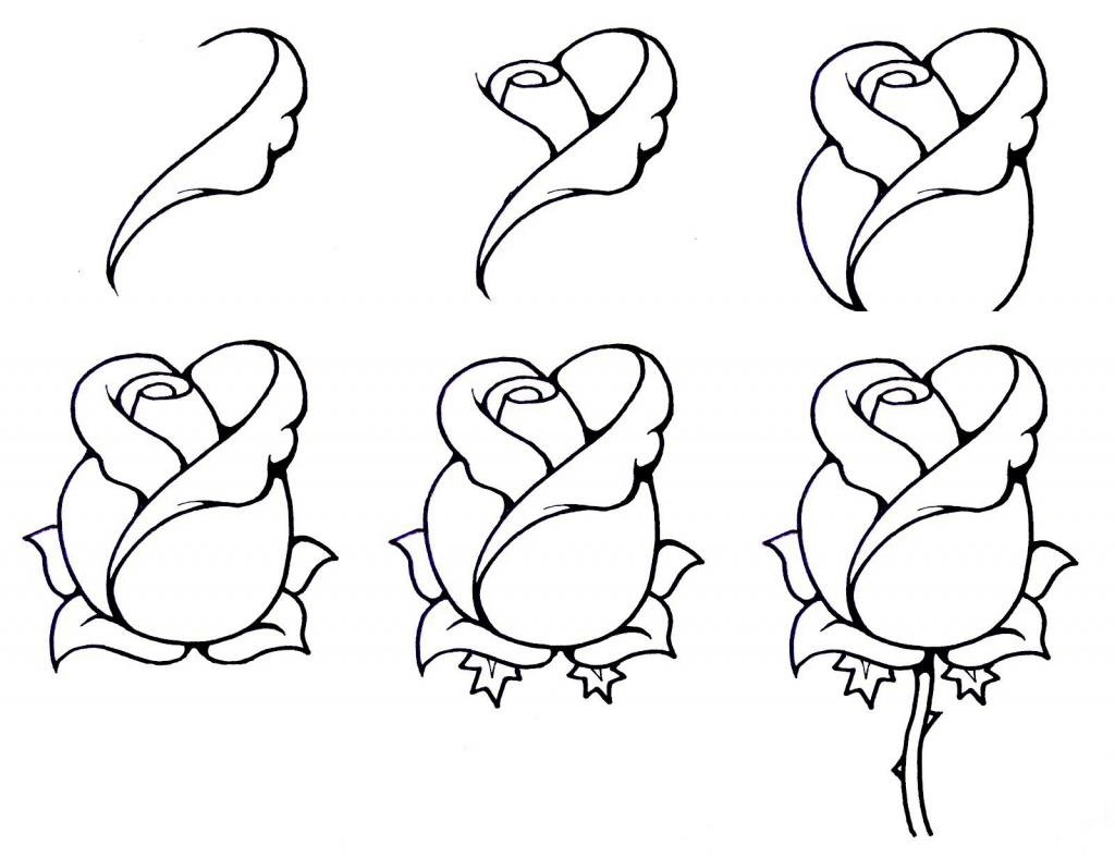 Рисунок розы легкий (28 фото) скачать бесплатно