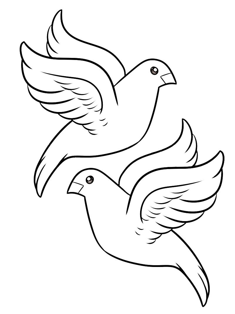 Голубь белый рисунок карандашом (40 фото) скачать бесплатно