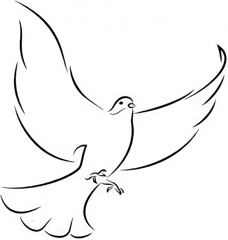 Голубь белый рисунок карандашом (40 фото) скачать бесплатно