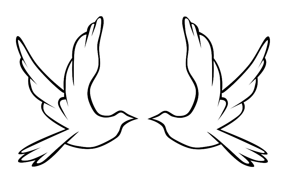 Голубь белый рисунок карандашом (40 фото) скачать бесплатно