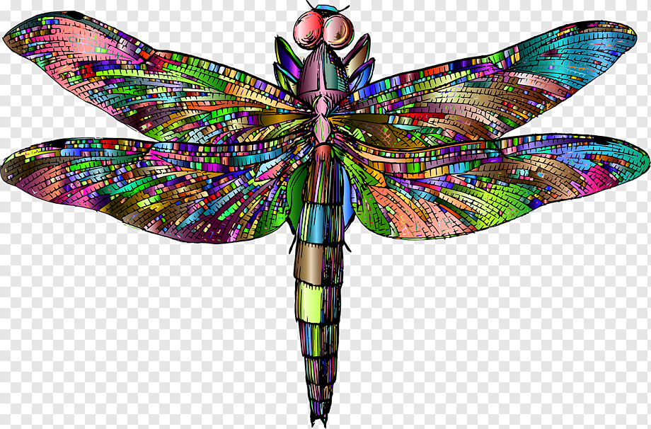 Крылья стрекозы рисунок (43 фото) скачать бесплатно